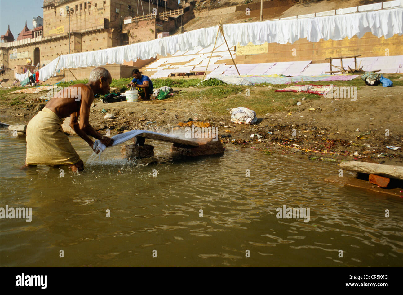 Dhobi wallah or laundry man cleaning laundry in the river, Varanasi ...
