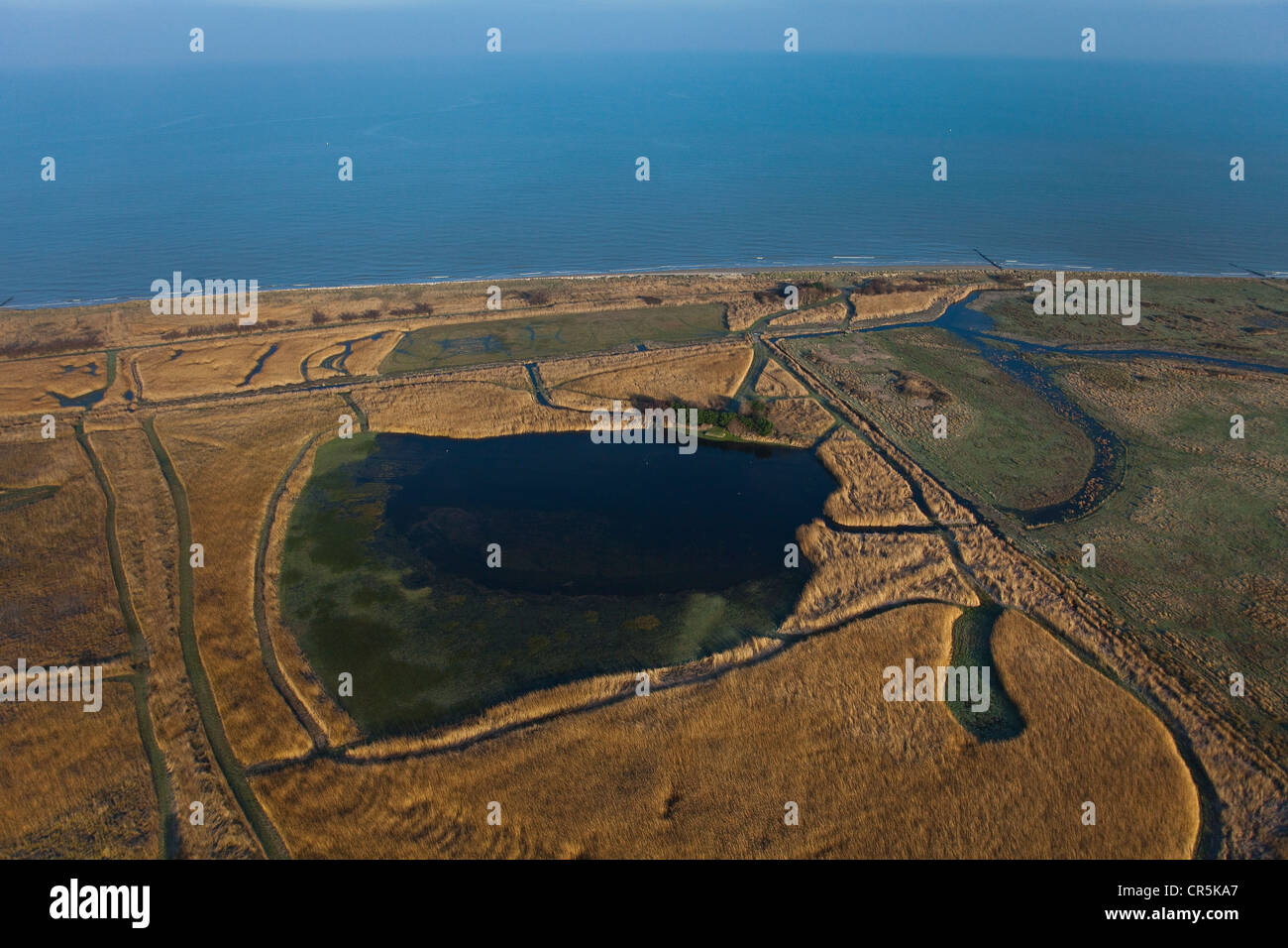 France, Calvados, Asnelles, marshes alongside Gold Beach (aerial view ...