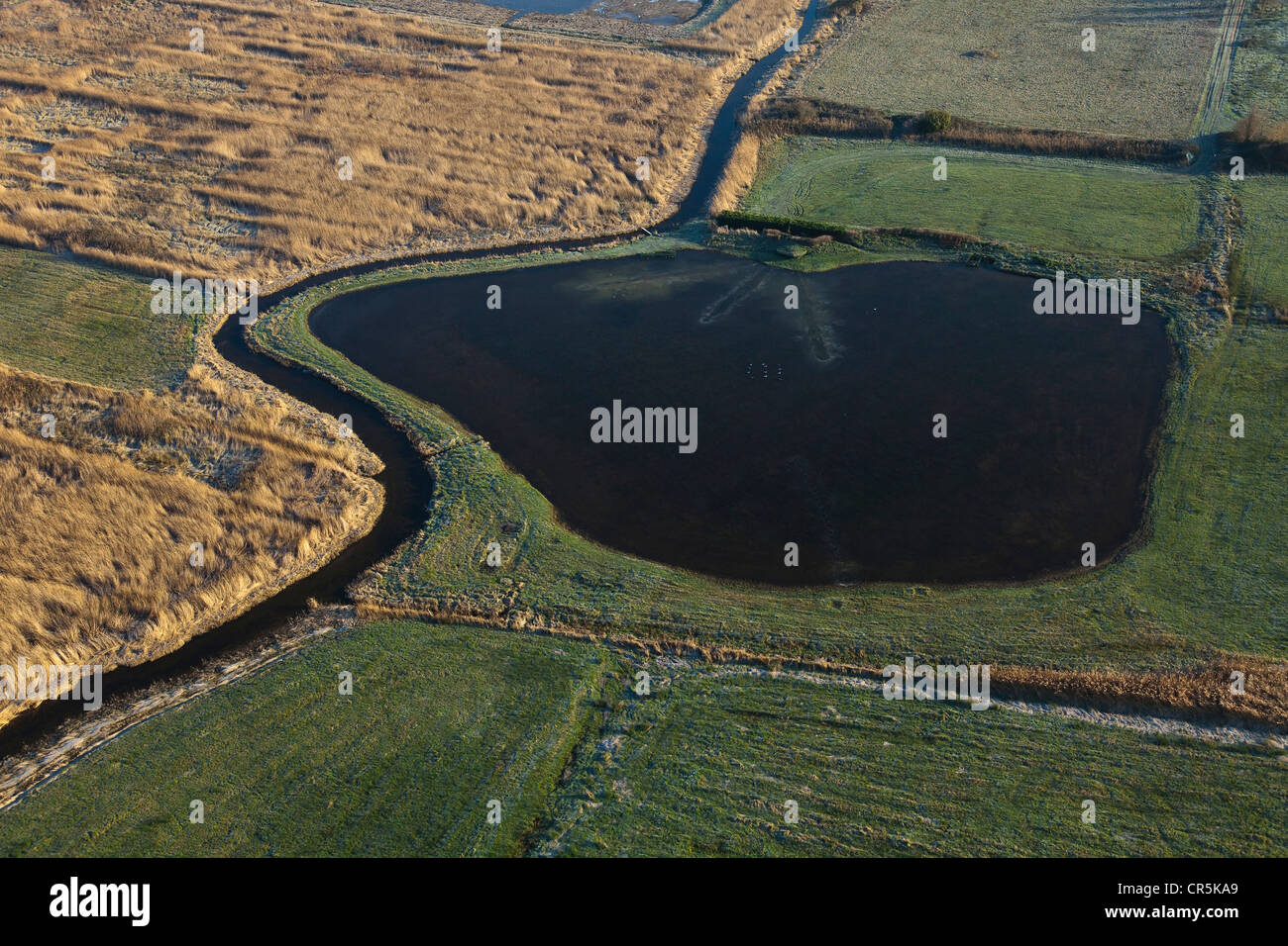 France, Calvados, Ver sur Mer, marshes alongside Gold Beach (aerial ...