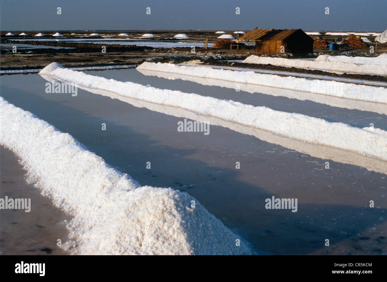 Salt production, Malya, Gujarat, India, Asia Stock Photo - Alamy