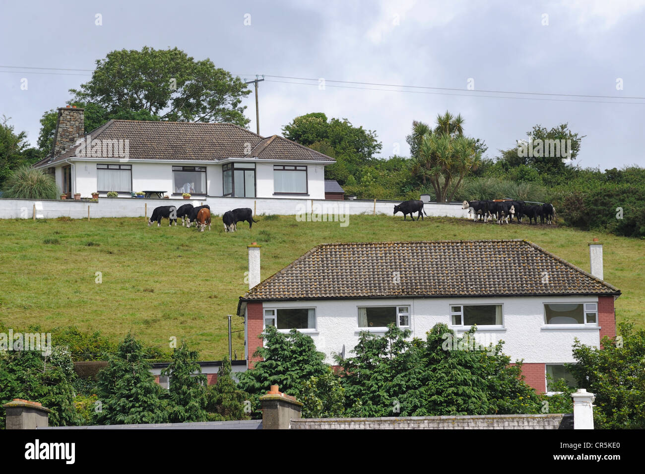 Hillside house ireland hi-res stock photography and images - Alamy