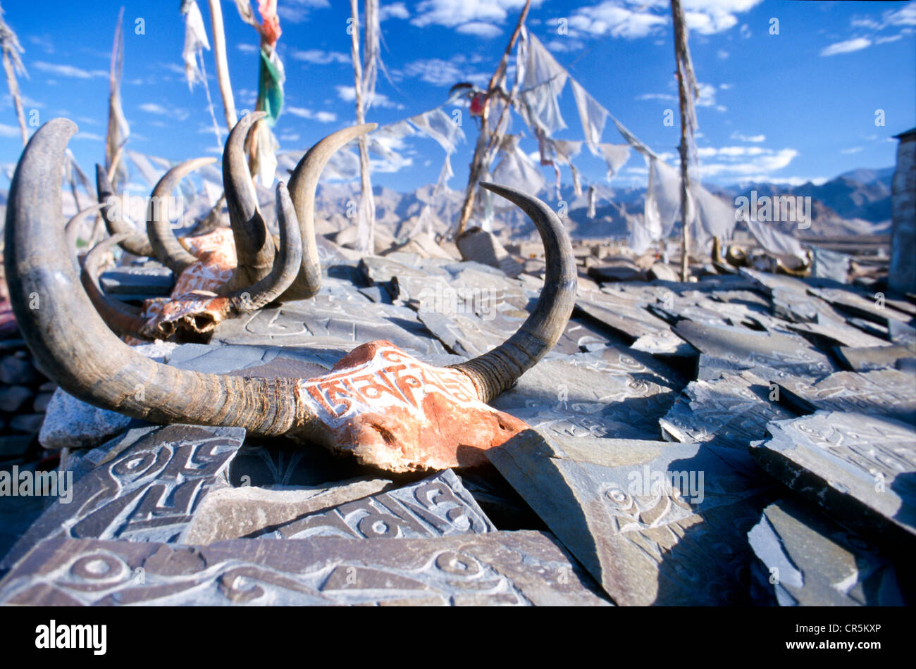 Mani stones with the Buddhist mantra of Avalokiteshvara, the Om Mani ...