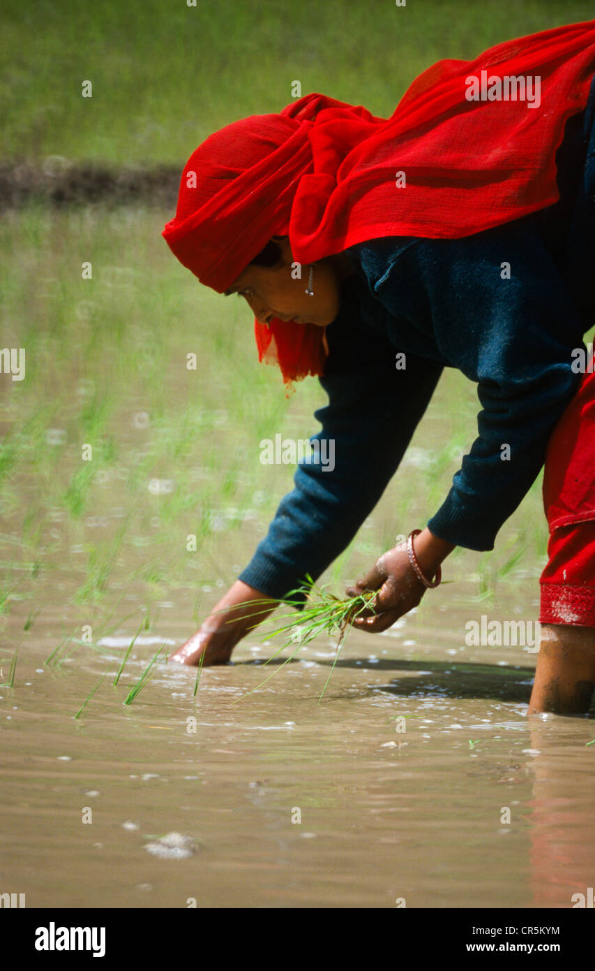 Atholi hi-res stock photography and images - Alamy