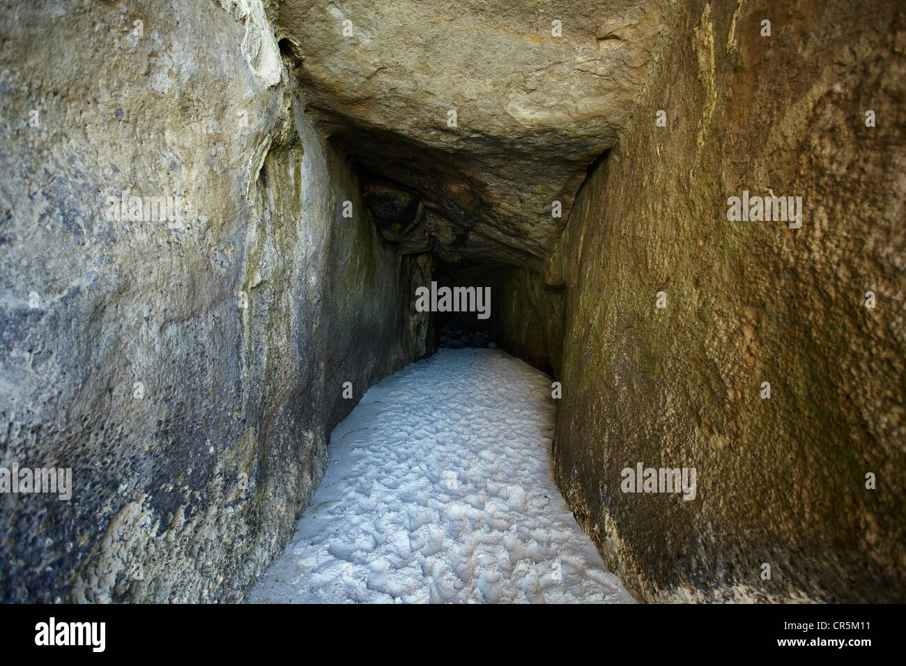 Sea cave, Tunnel Beach, Dunedin, South Island, New Zealand Stock Photo ...