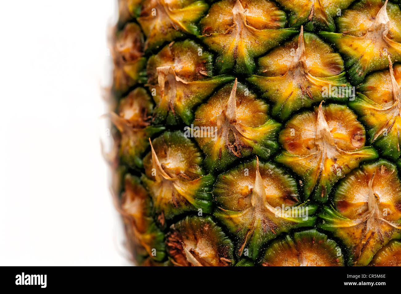 Pineapple (Ananas comosus), detail of the skin Stock Photo - Alamy