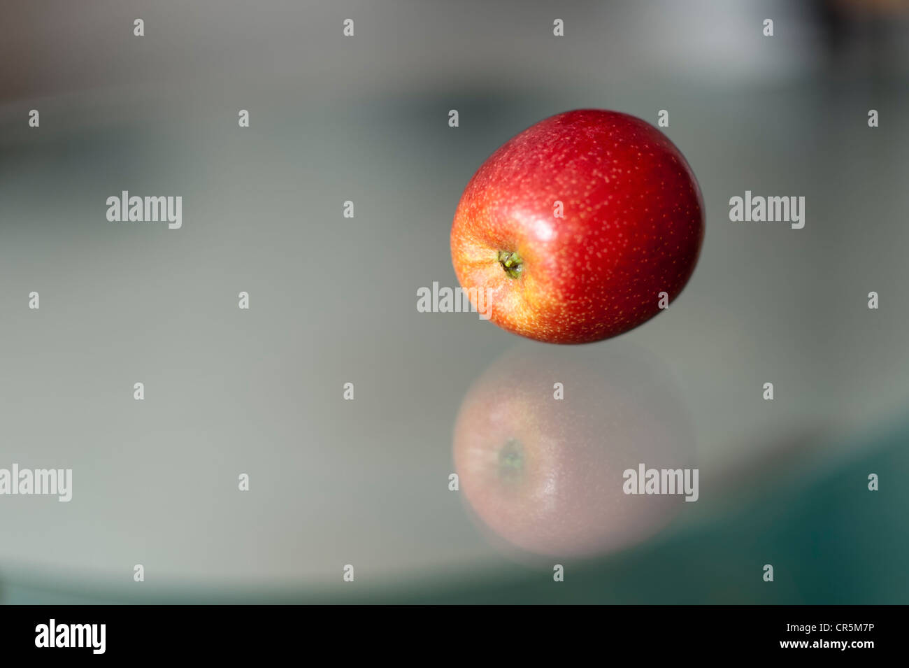 Ripe apple lying on a glass table Stock Photo - Alamy