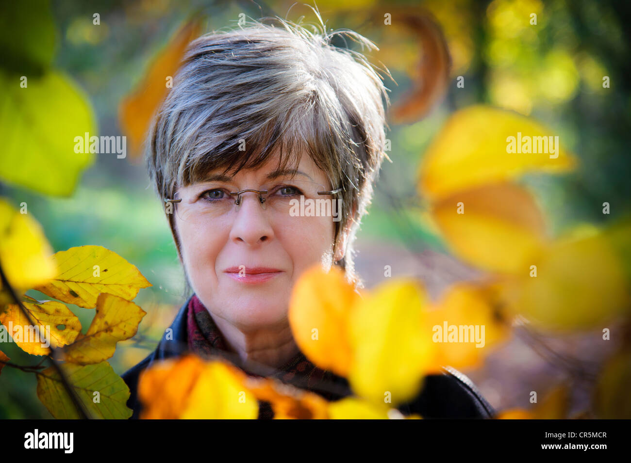 Autumn fa hi-res stock photography and images - Alamy