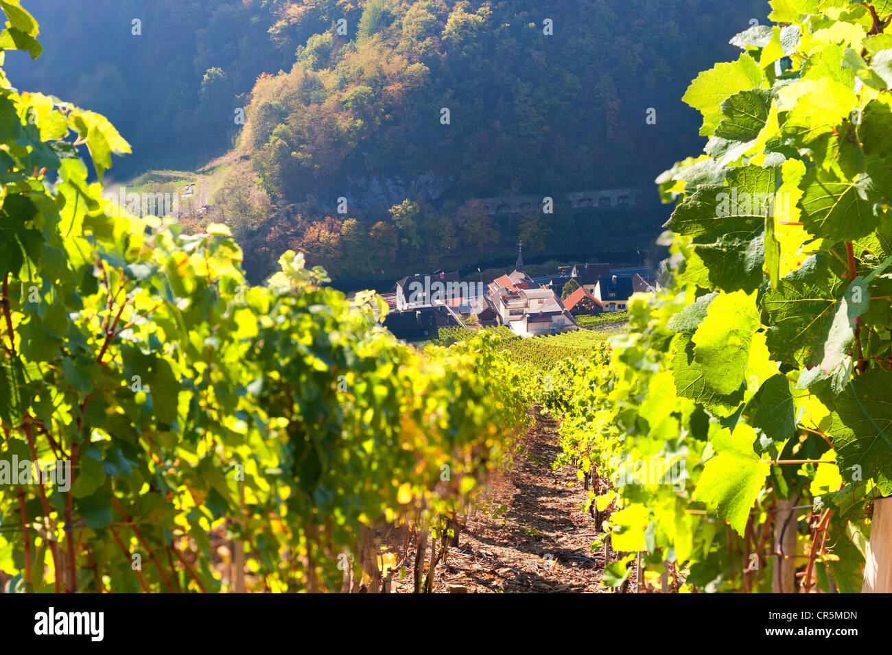 Altenahr hi-res stock photography and images - Alamy