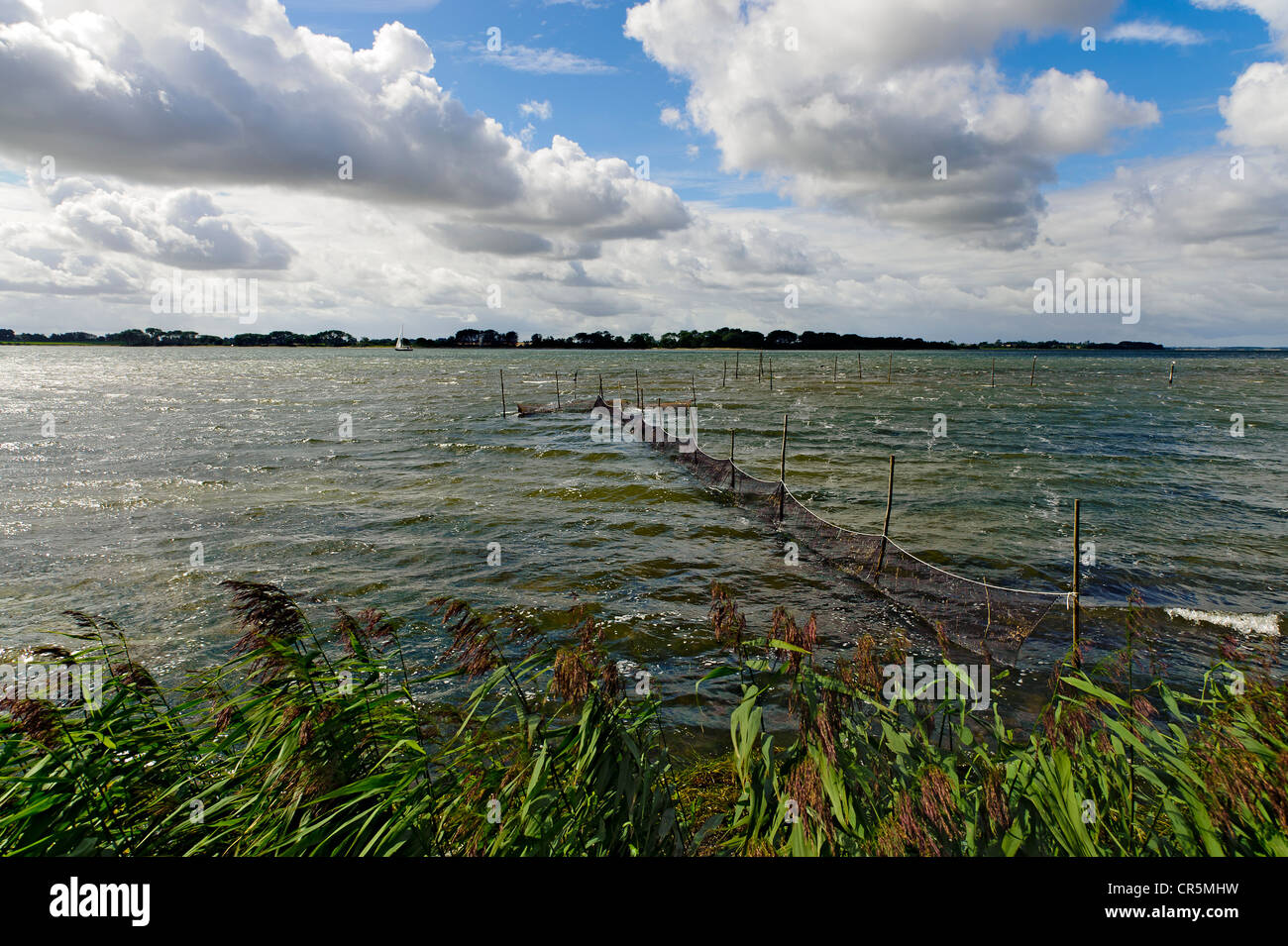 Island falster hi-res stock photography and images - Alamy