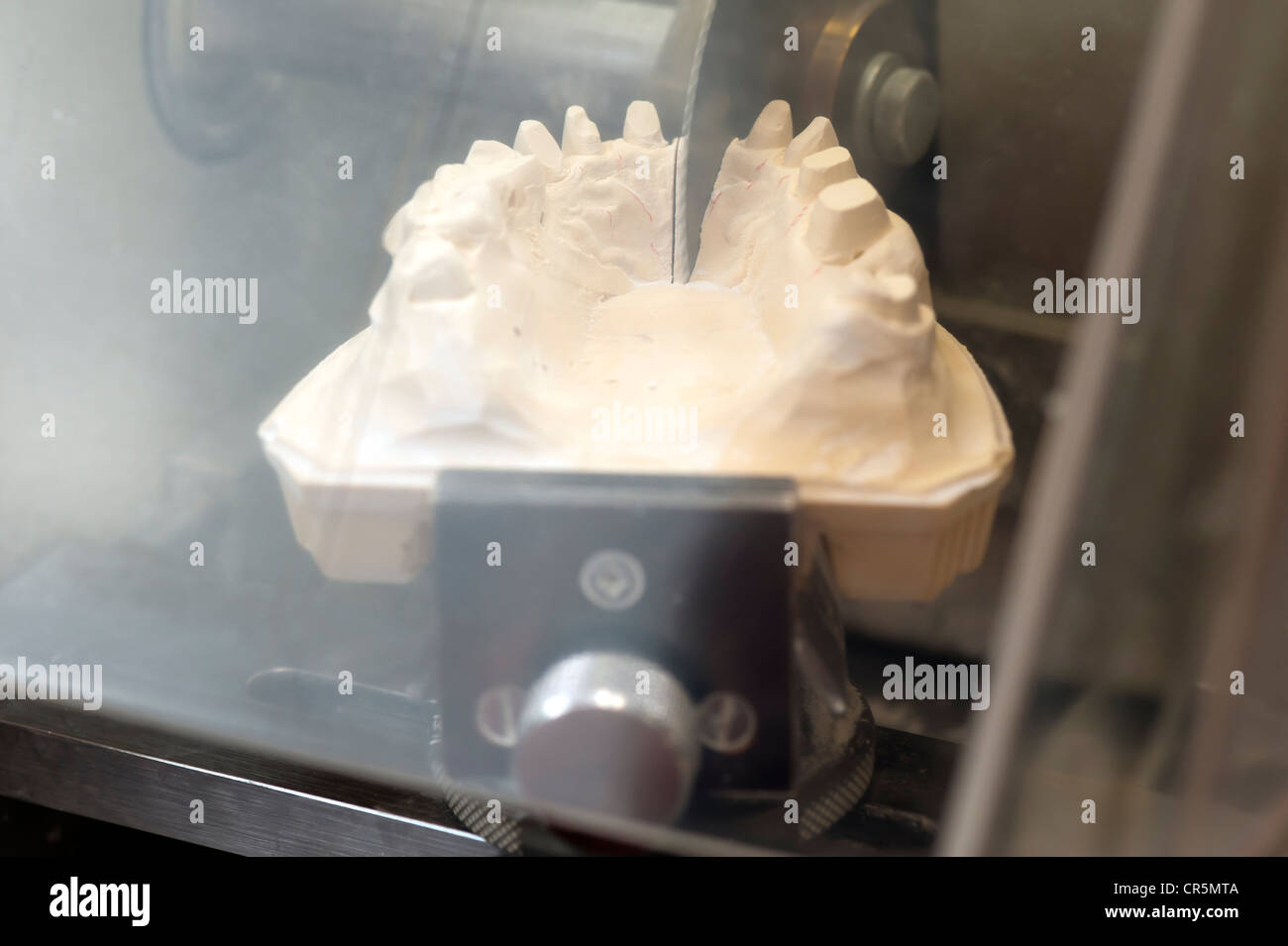 Upper jaw model being cut Stock Photo - Alamy