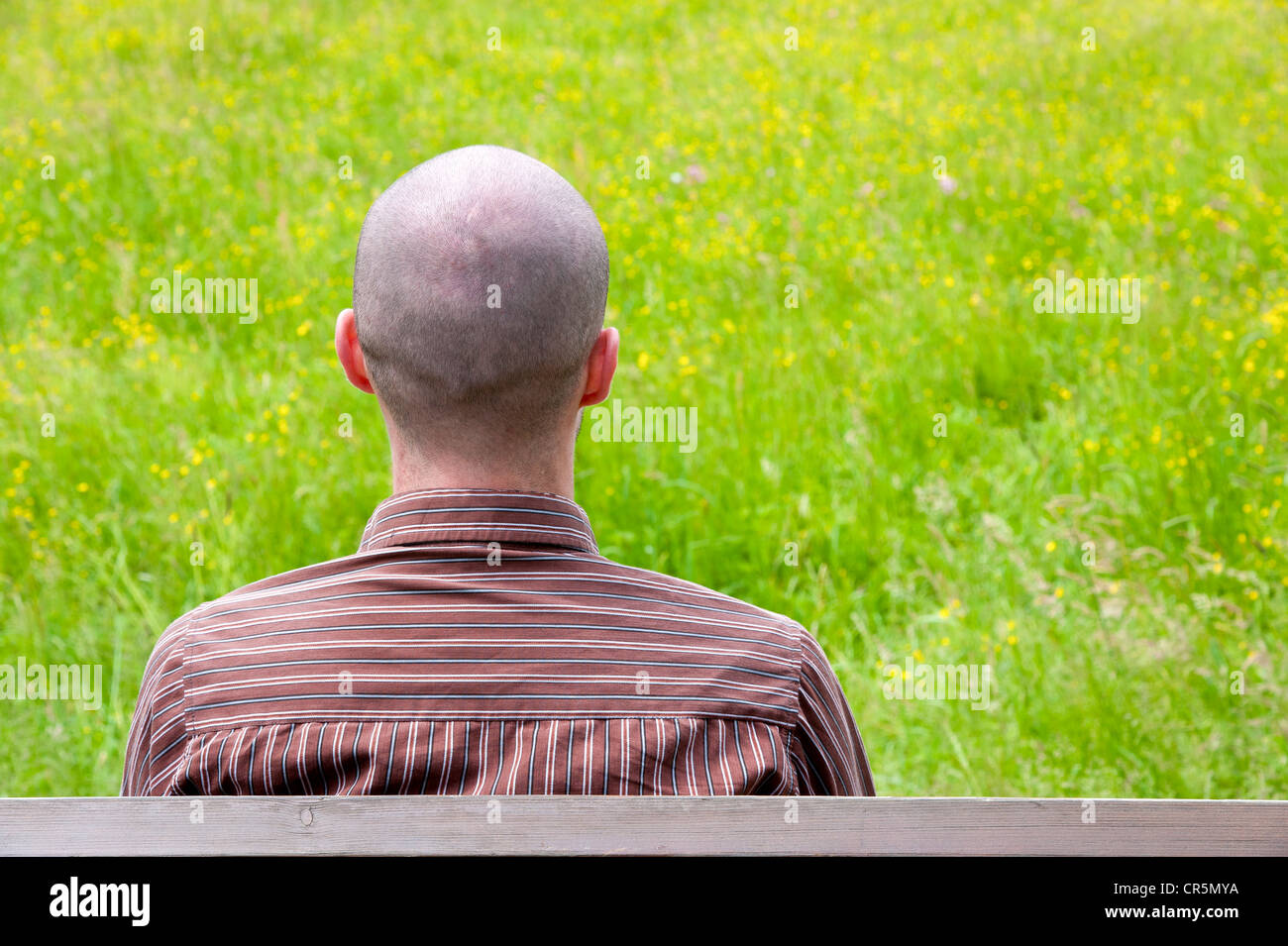 Bald man, rear view Stock Photo - Alamy