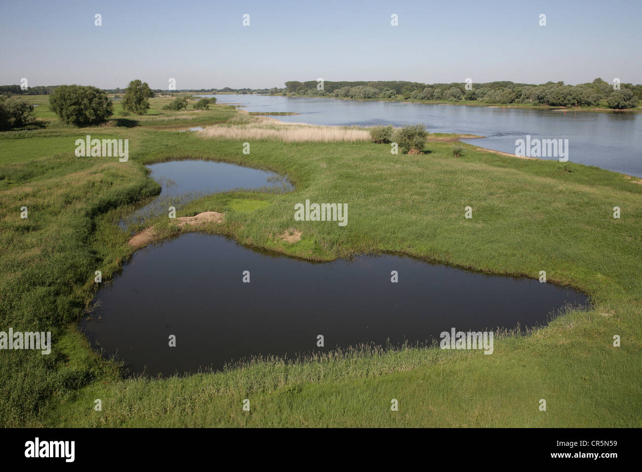 Wittenberg elbe hi-res stock photography and images - Alamy