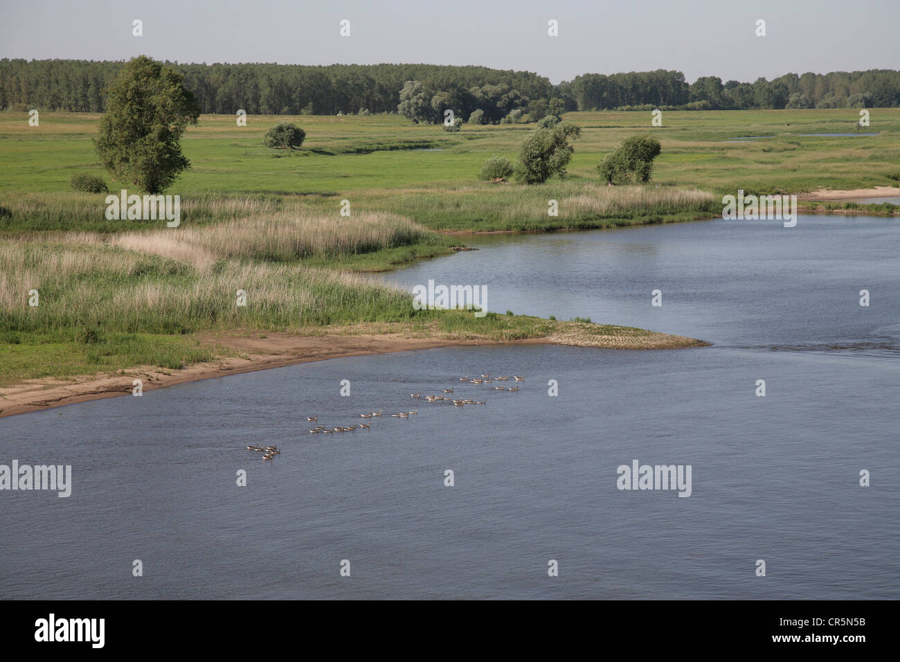 Wittenberg elbe hi-res stock photography and images - Alamy