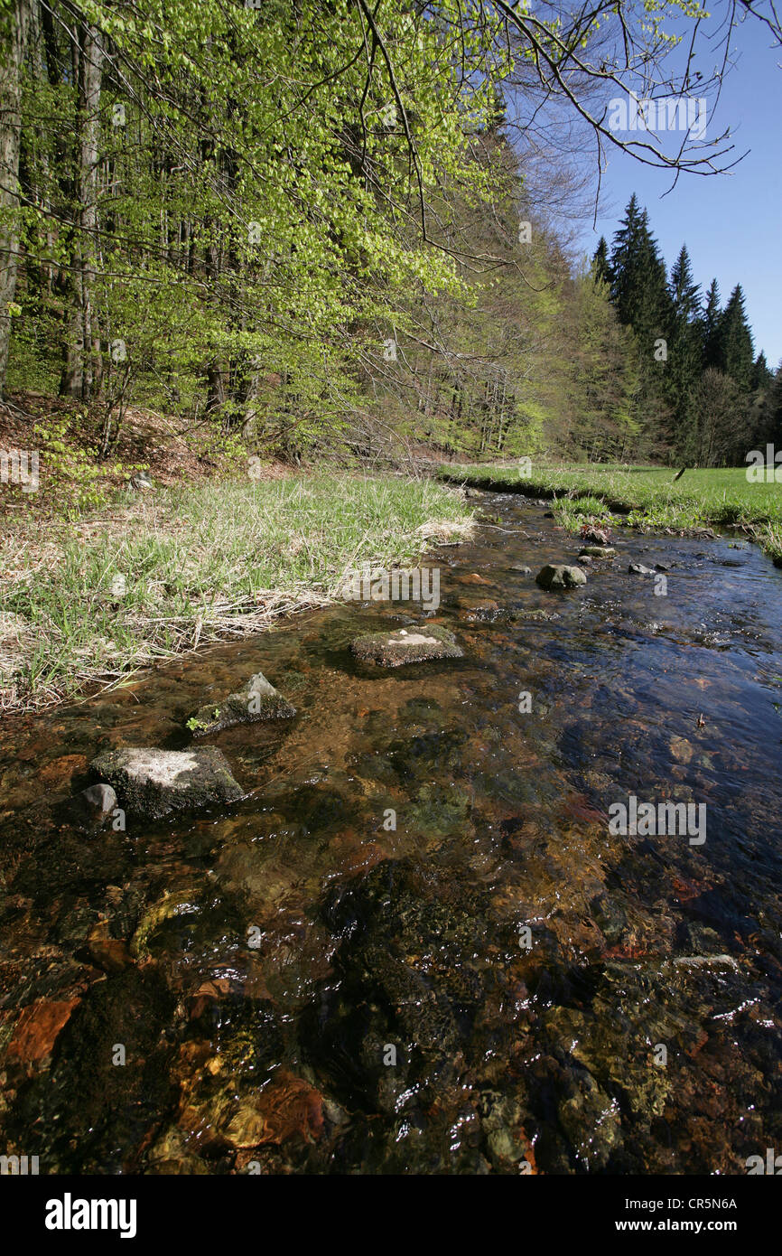 Rivers of thuringia hi-res stock photography and images - Alamy