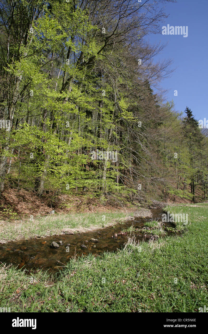 Rivers of thuringia hi-res stock photography and images - Alamy