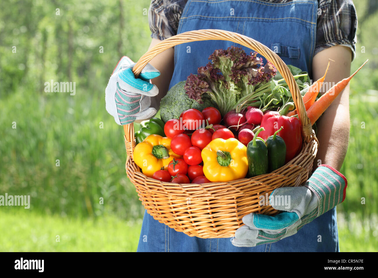 Women hands holding a basket full of vegetables in the garden Stock ...
