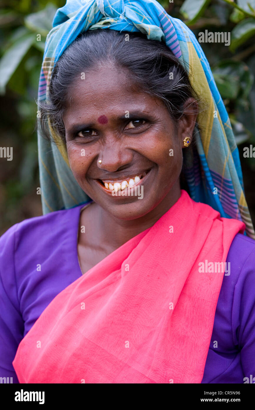 Tamil tea picker, Rangala, Central, Sri Lanka Stock Photo - Alamy
