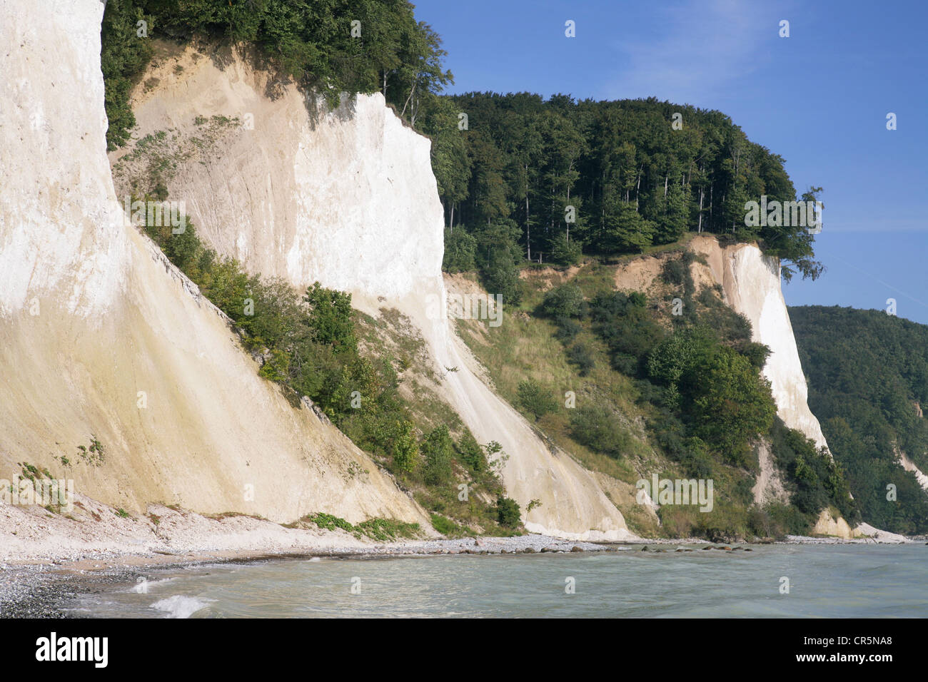 Chalk cliffs and a beech forest (Fagus sylvatica), UNESCO World ...