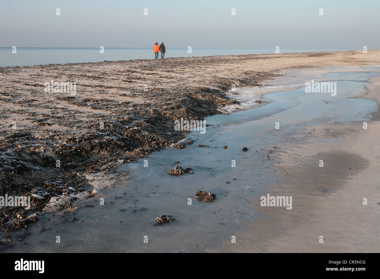 Ice on West Beach of Darss, Bodden Landscape of Vorpommern National ...