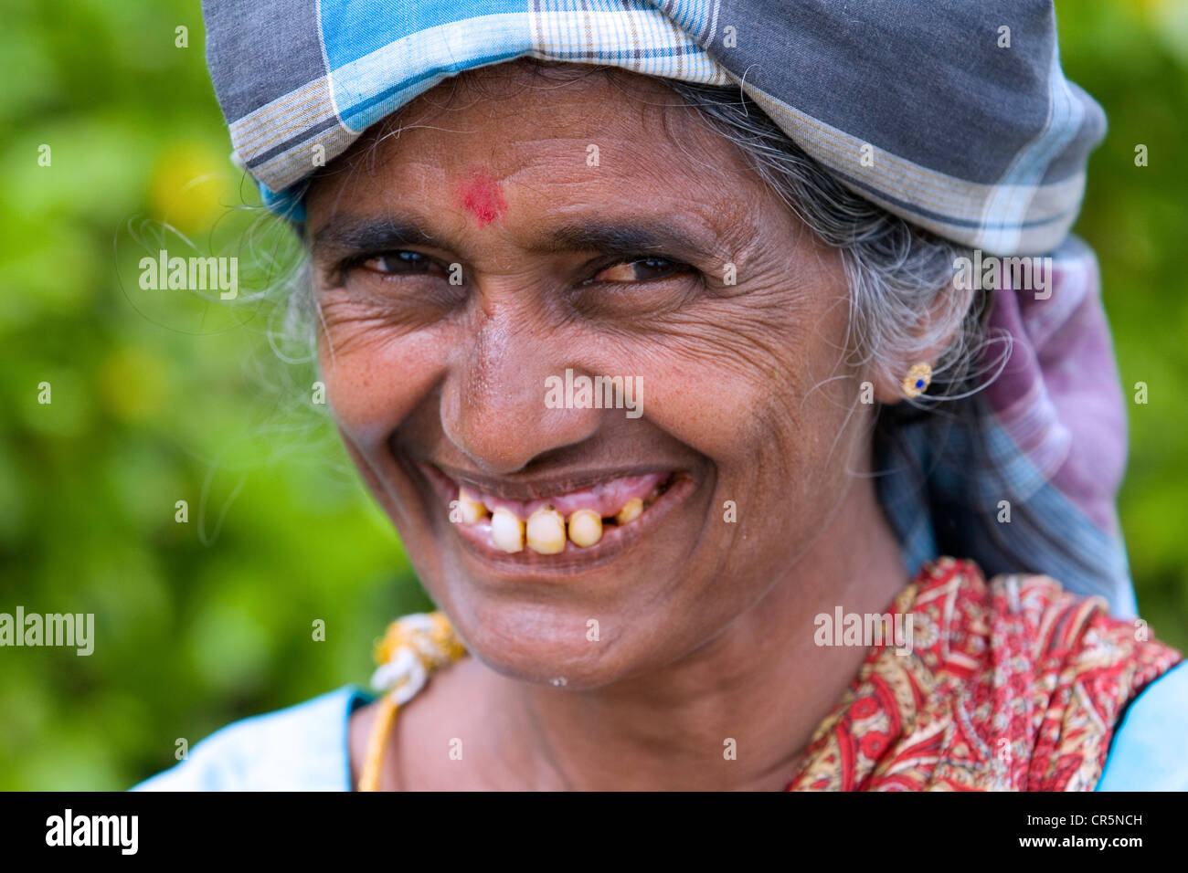 Tamil tea picker, Rangala, Central, Sri Lanka Stock Photo - Alamy