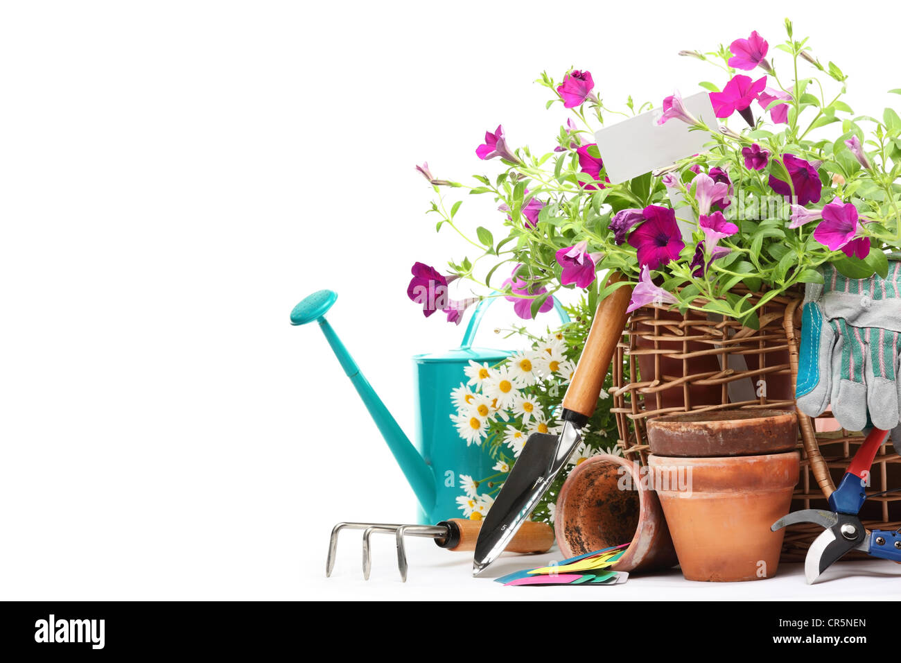 Gardening tools and flowers isolated on white Stock Photo - Alamy