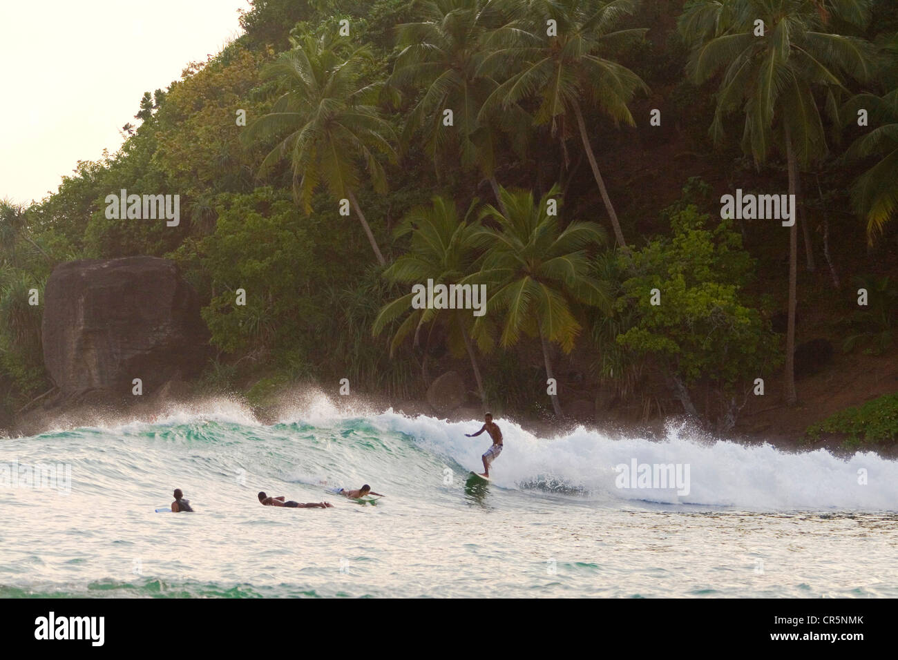 Surfer rides a wave at Mirissa Point, Mirissa, Southern, Sri Lanka ...