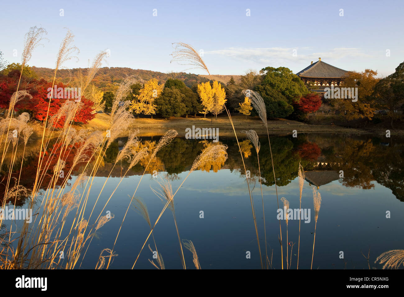 Japan, Honshu Island, Kinki Region, city of Nara, Historic Monuments of ...
