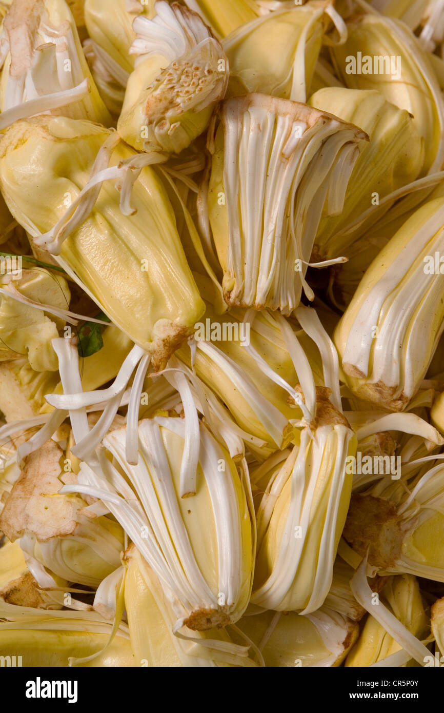 Sri lanka jackfruit High Resolution Stock Photography and Images - Alamy