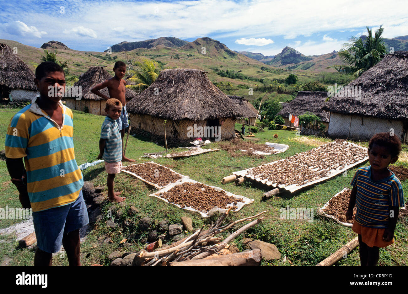 Fiji Islands, Viti Levu Island, Navala village Stock Photo - Alamy