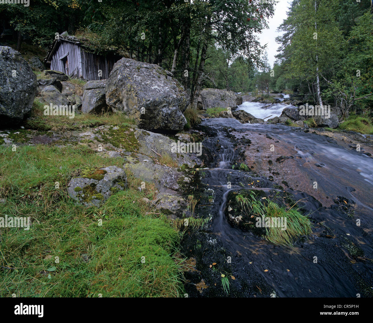 Old log in river hi-res stock photography and images - Alamy