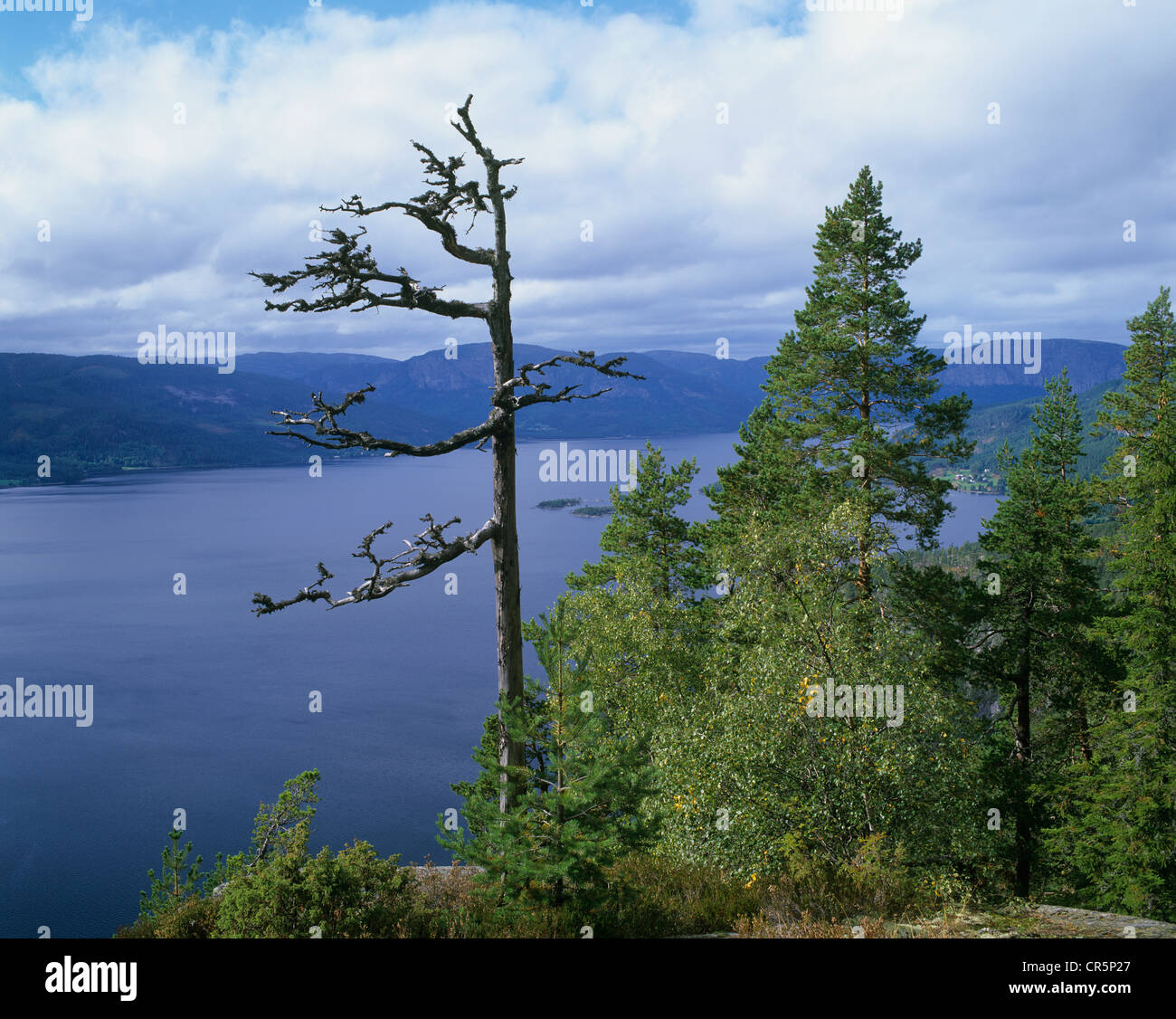 Fyresvatn hi-res stock photography and images - Alamy