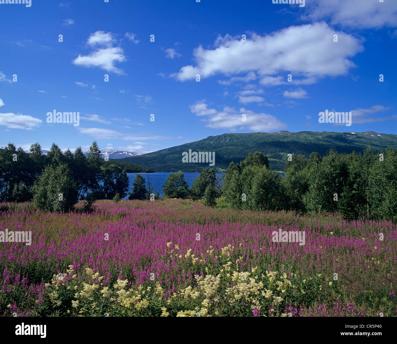 Mosjoen hi-res stock photography and images - Alamy