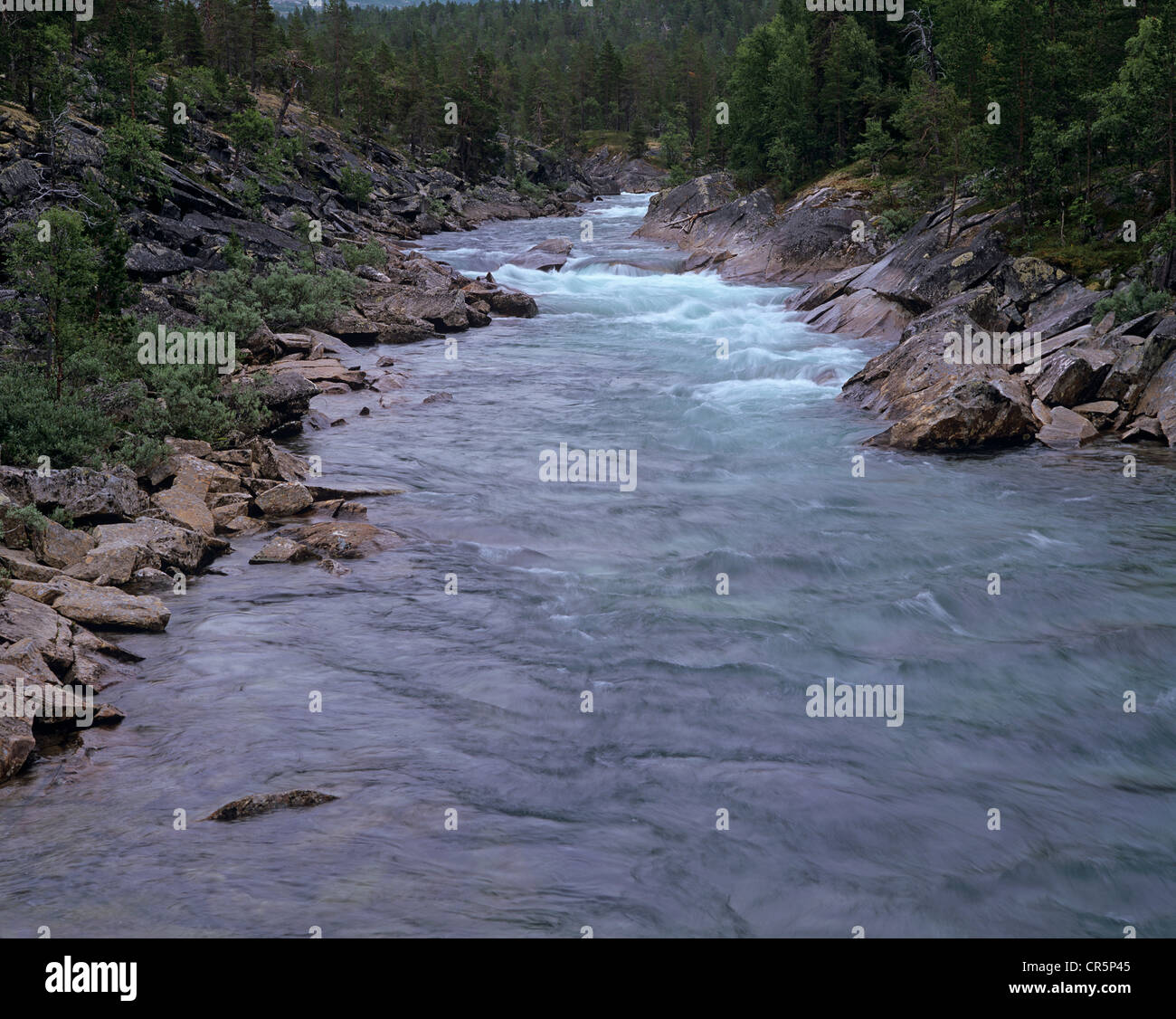 Saltdalen hi-res stock photography and images - Alamy