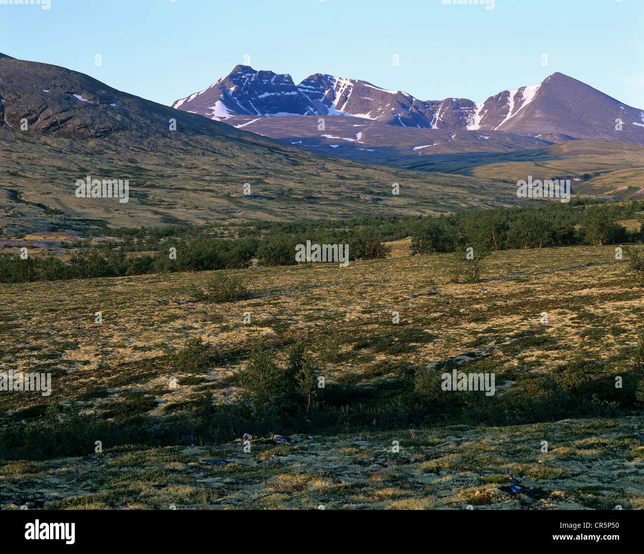 Fjell landscape, Rondane National Park, Norway, Scandinavia, Europe ...