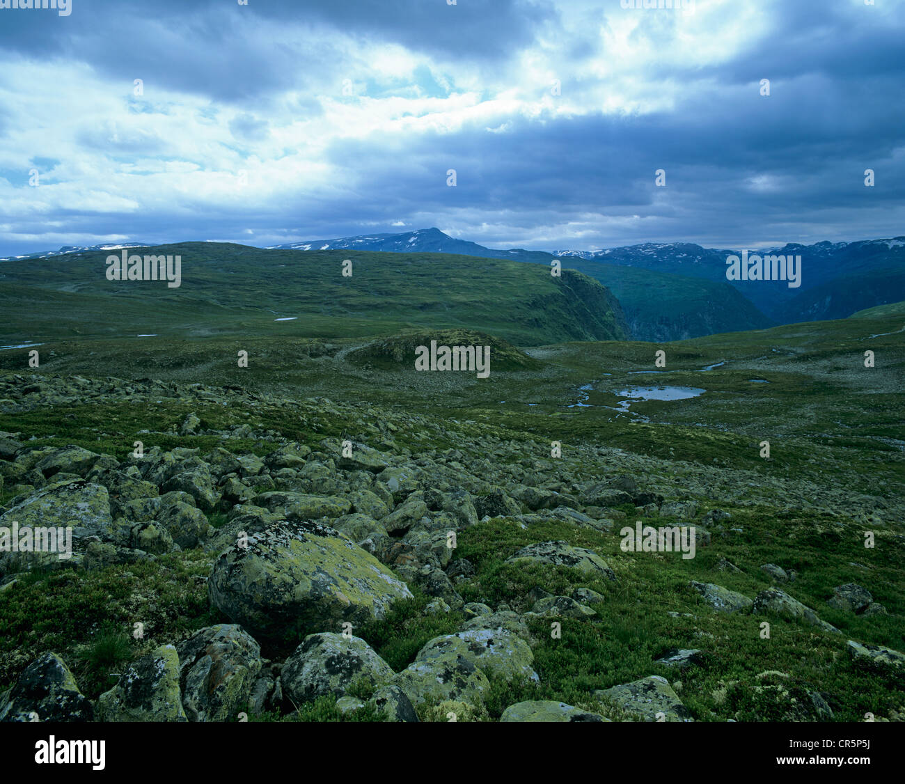 Fjell landscape of the mountain pass road of Aurlandsvangen after ...