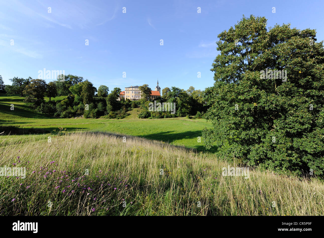 Schloss Ettersburg Castle with Castle Park near Weimar, UNESCO World ...