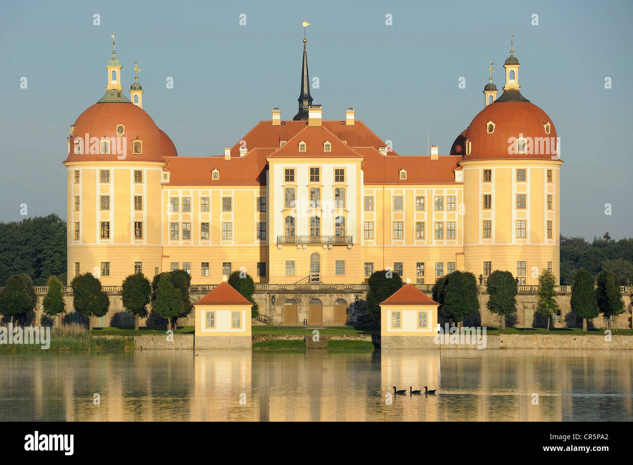 Schloss Moritzburg Castle, Saxony, Germany, Europe Stock Photo - Alamy