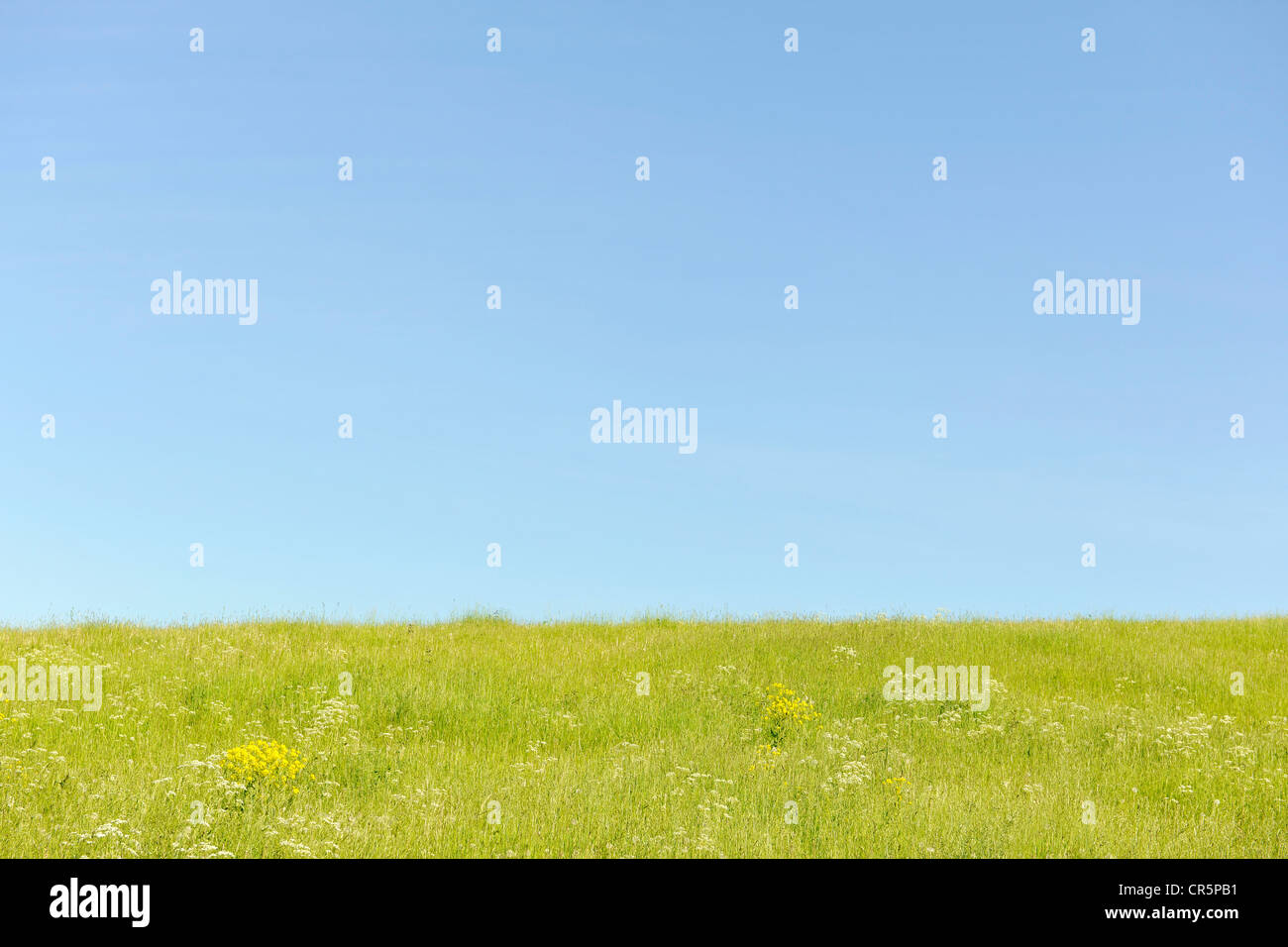 Spring landscapes blue sky hi-res stock photography and images - Alamy
