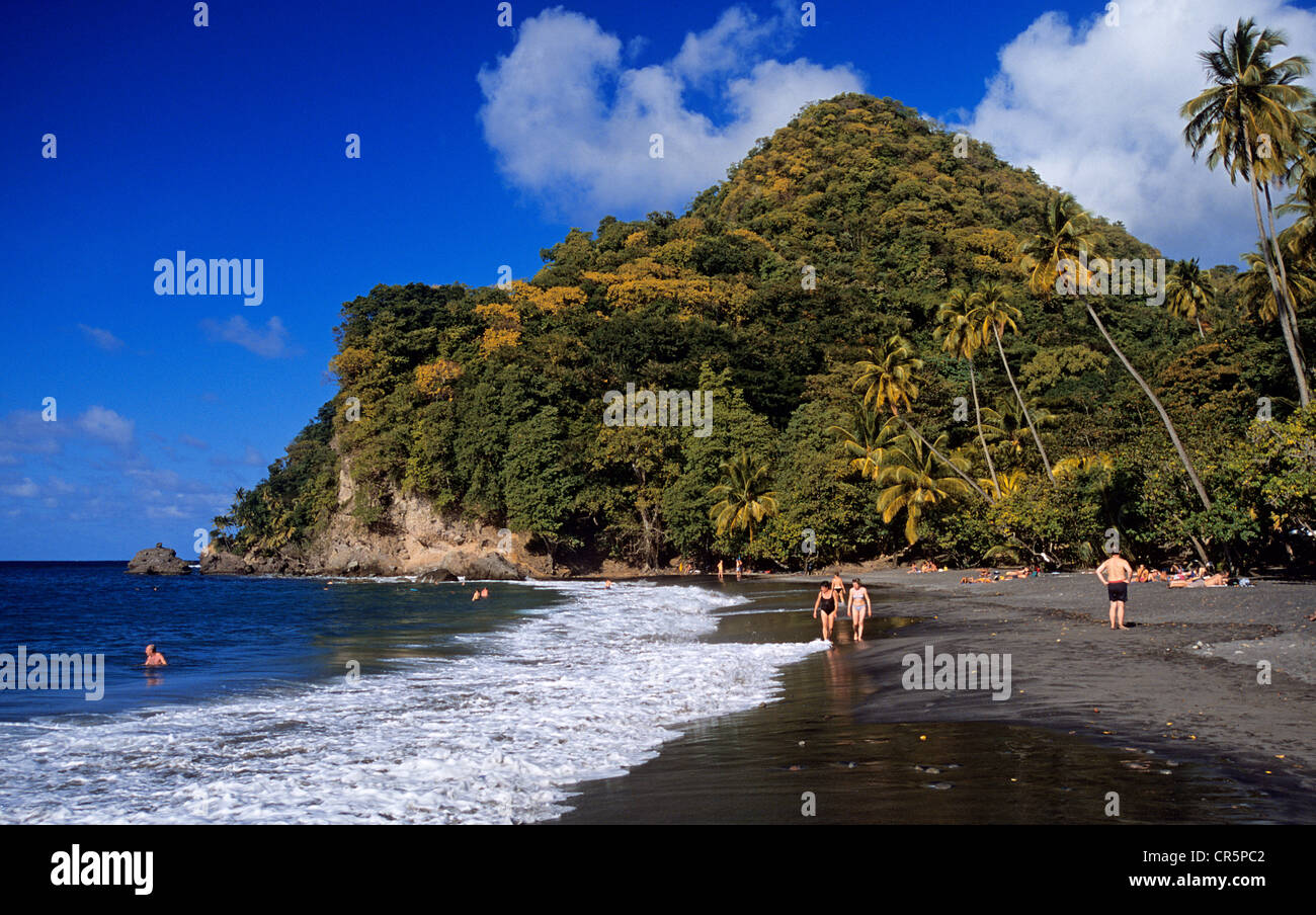 France, Martinique (French West Indies), Anse Ceron Stock Photo - Alamy