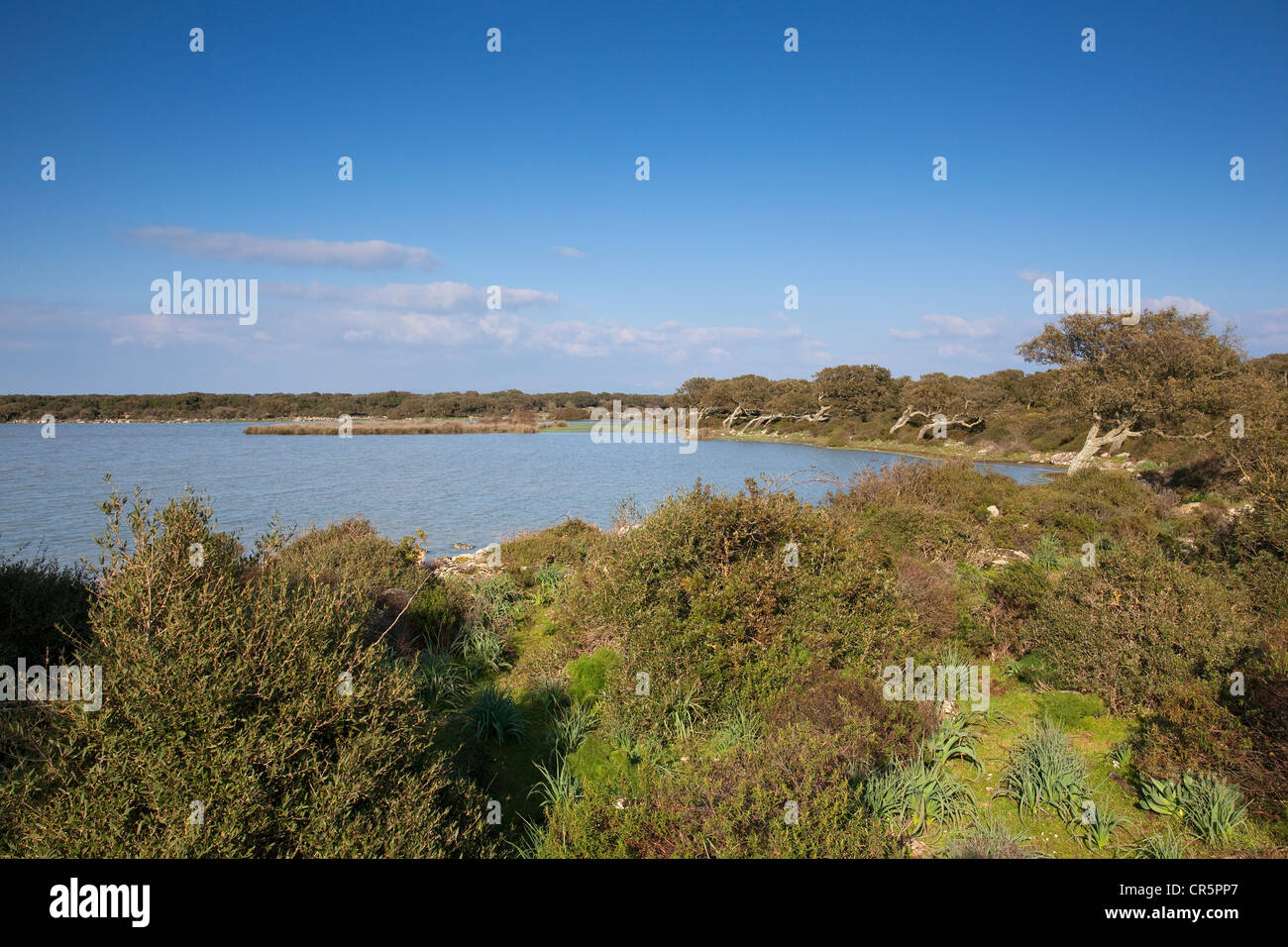 Giara di Gesturi plateau, Pauli Majori, Sardinia, Italy, Europe Stock ...
