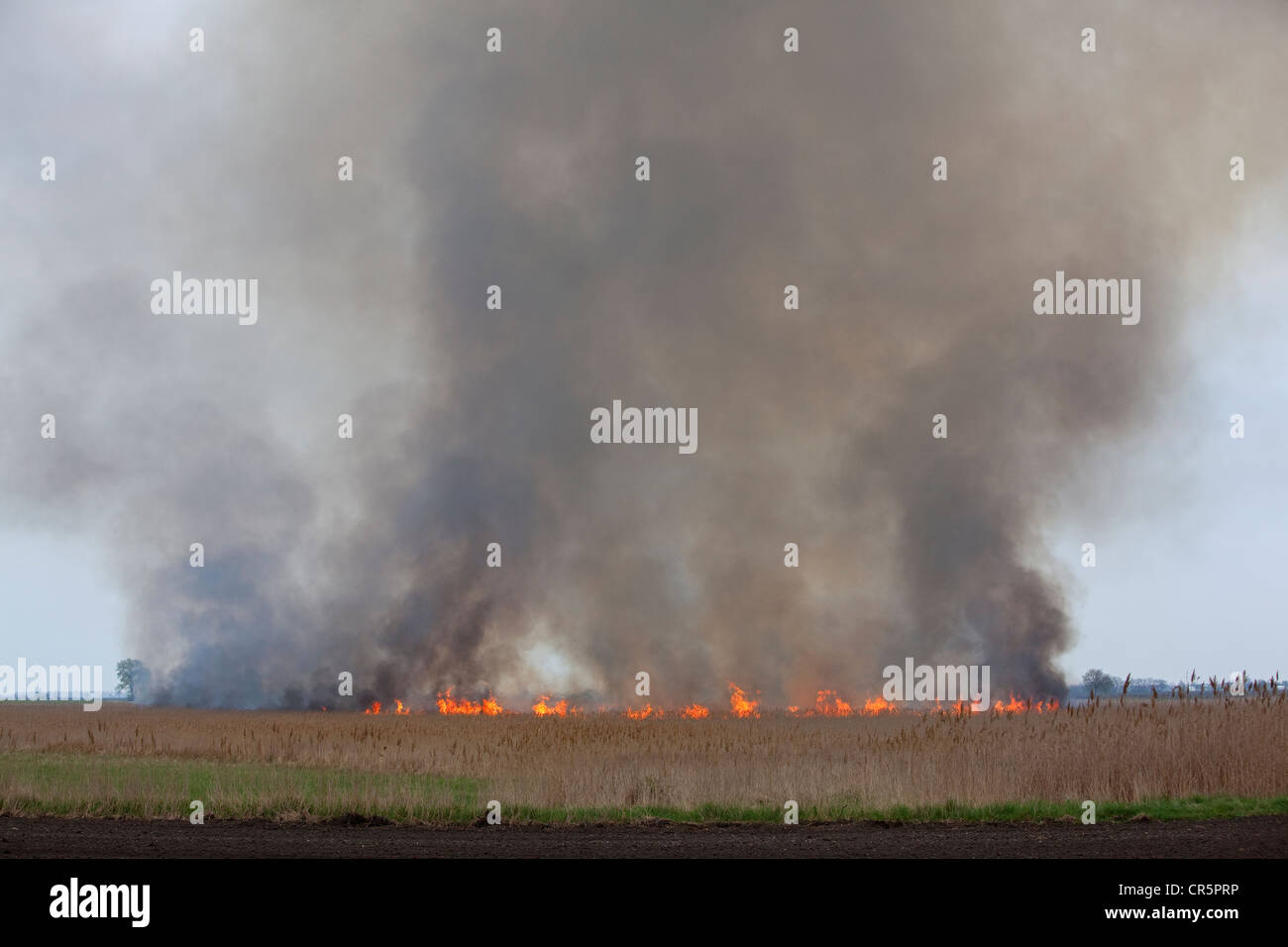 Europe burns hi-res stock photography and images - Alamy