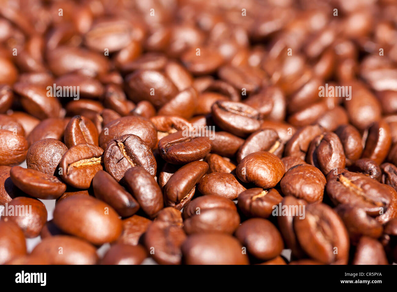 Light roasted coffee beans Stock Photo - Alamy