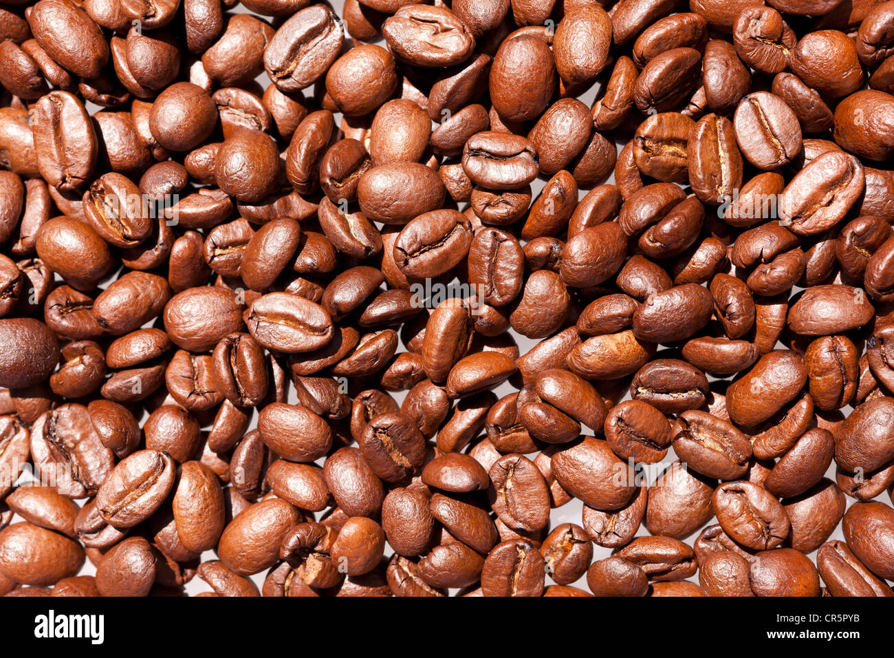 Light roasted coffee beans Stock Photo - Alamy