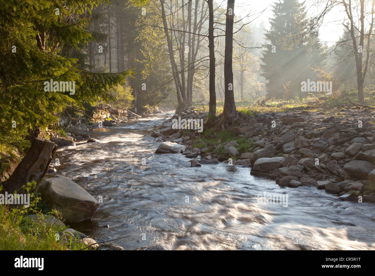 Natzschung River between Ruebenau and Olbernhau, Natzschung Valley ...