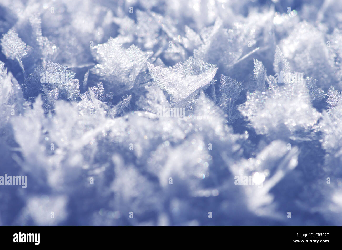 Extereme close up hi-res stock photography and images - Alamy