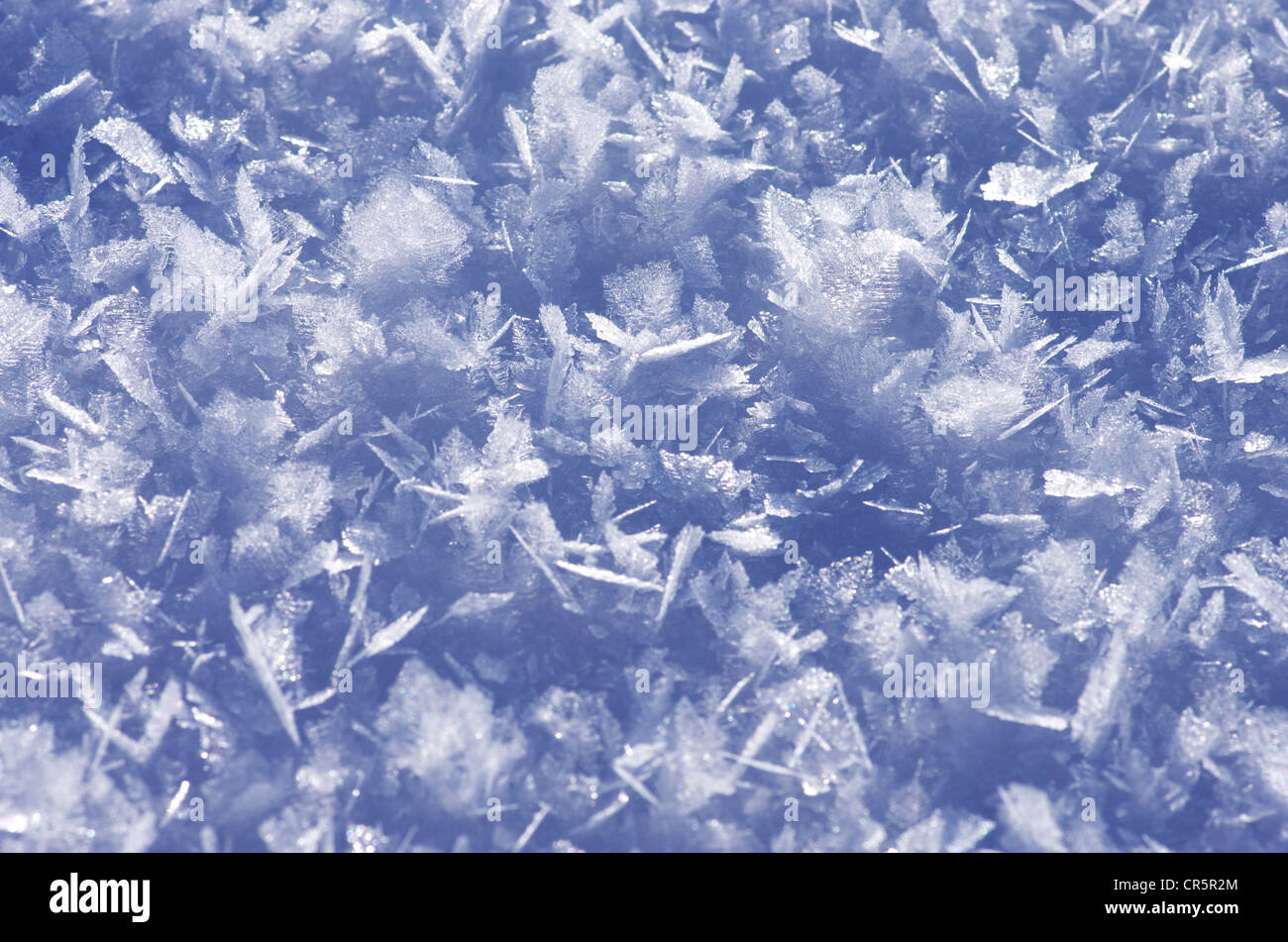 Extereme close up hi-res stock photography and images - Alamy