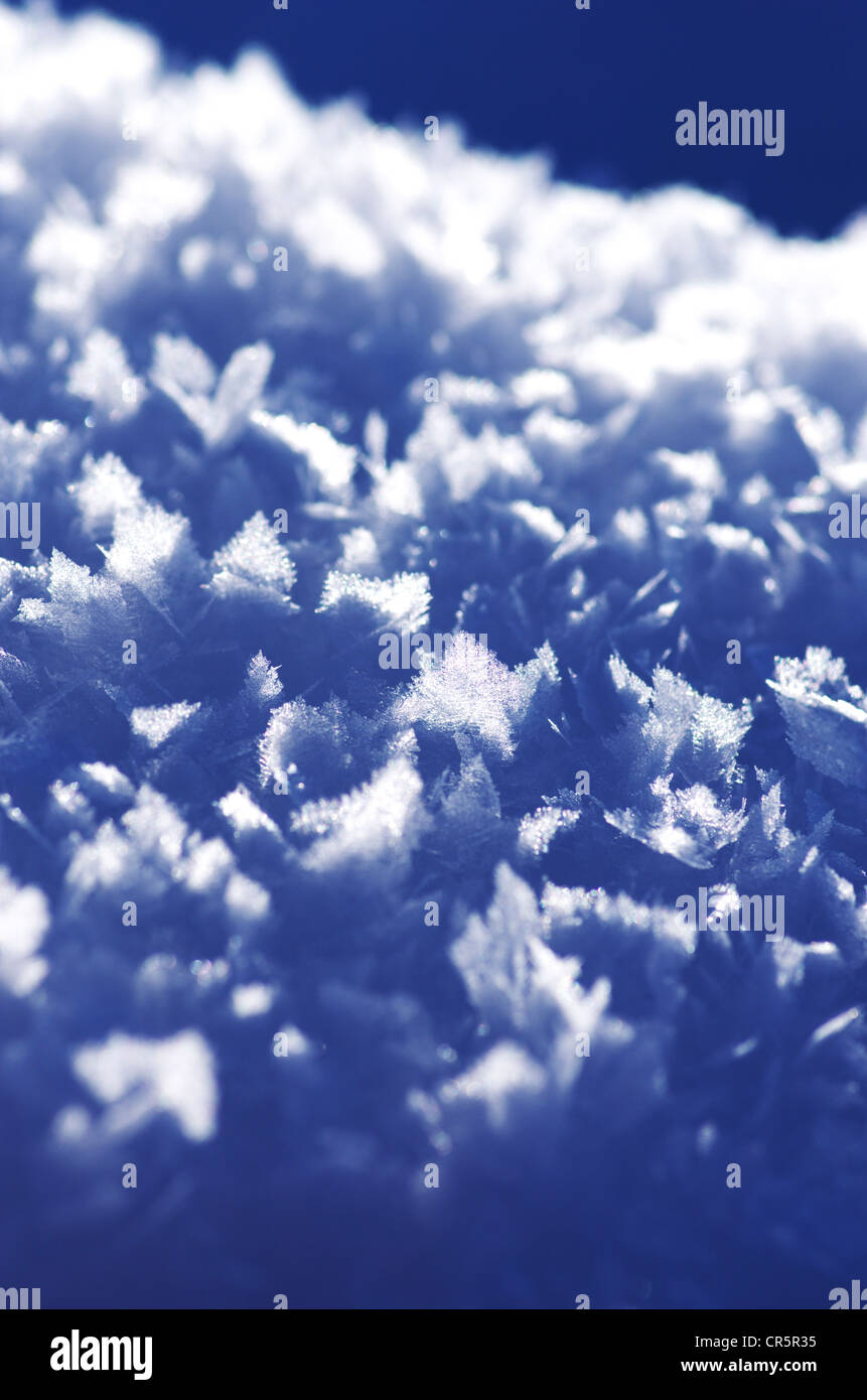 Extereme close up hi-res stock photography and images - Alamy