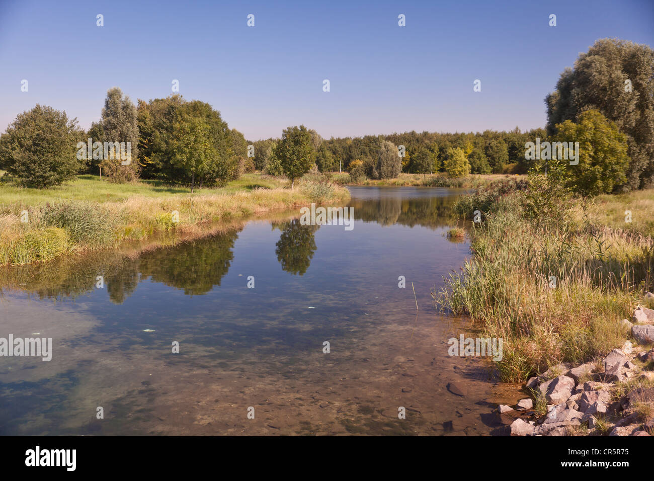 Cospudener See, lake, Nordstrand beach near Leipzig, Saxony, Germany ...