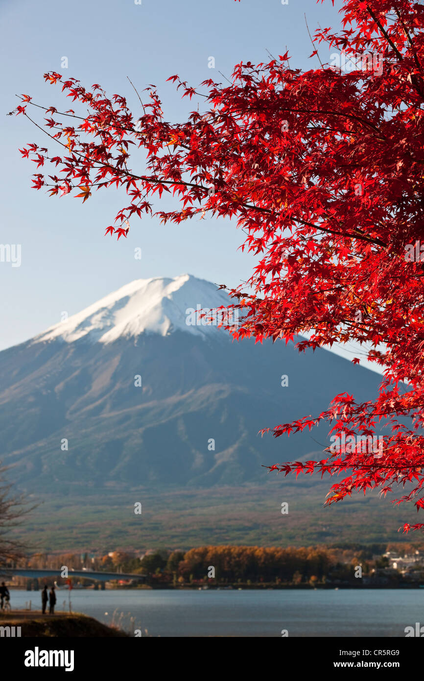 Japan, Honshu Island, Mount Fuji Region, the Kawaguchi Lake with the ...