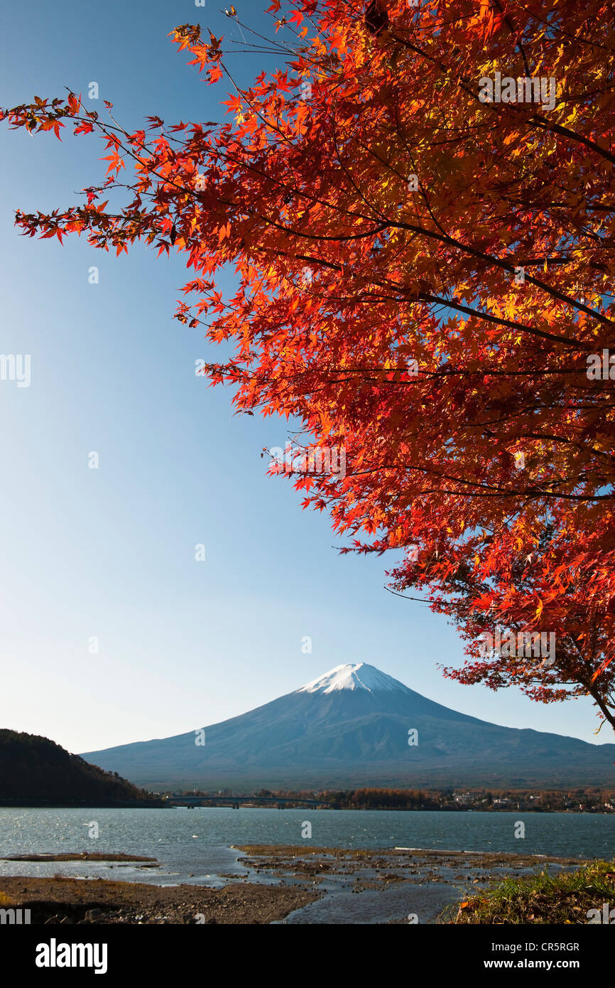 Japan, Honshu Island, Mount Fuji Region, the Kawaguchi Lake with the ...